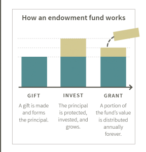 What is an Endowment? – Northern Michigan Catholic Foundation